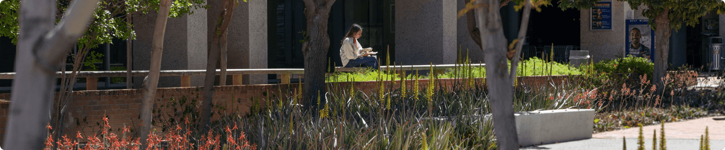 Visit Campus & Tours | University of Arizona | Admissions