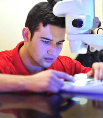 How to Apply to the University of Arizona | University of Arizona ...